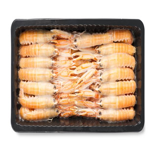 Fastnet SCAMPI INTERI 31/40 GLASSATURA 20% 1kg